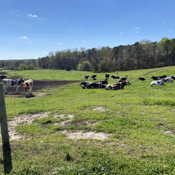 HOWLING COW DAIRY EDUCATION CENTER AND CREAMERY - Updated June 2024 ...