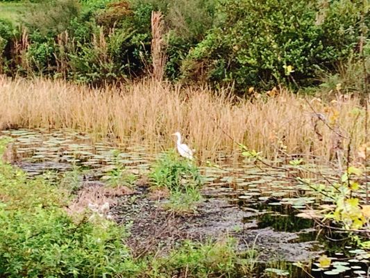 LONG KEY NATURAL AREA & NATURE CENTER - Updated December 2025 - 298 ...