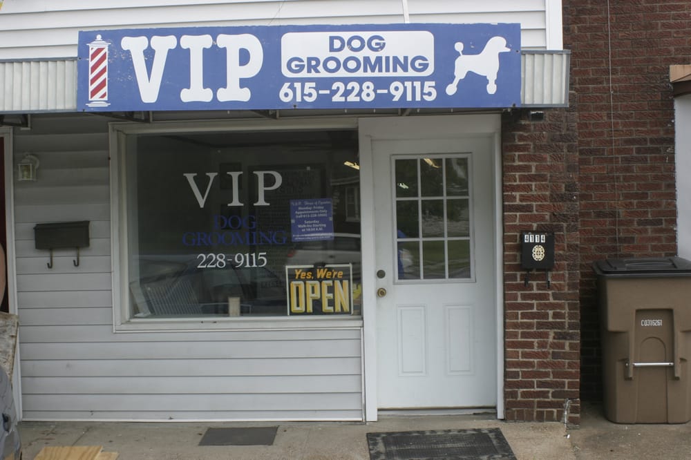VIP DOG GROOMING - CLOSED - Updated January 2025 - 4114 Gallatin Pike ...
