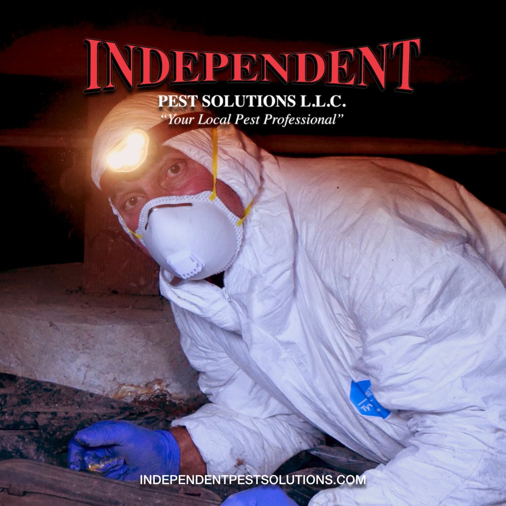 INDEPENDENT PEST SOLUTIONS - Updated September 2025 - 29 Reviews ...