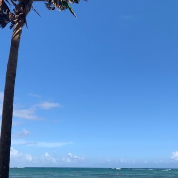 CHAMICOS - Updated October 2025 - 150 Photos & 74 Reviews - Soliman Bay ...