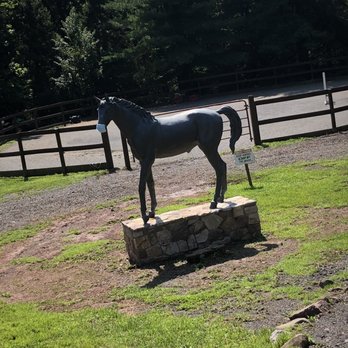 RED BUFFALO RANCH - Updated October 2025 - 69 Photos & 62 Reviews ...