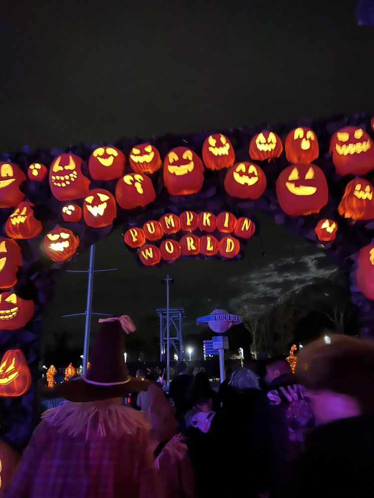 PUMPKIN WORLD - Updated December 2025 - 18 Photos - 1 Phil Tisi Way ...