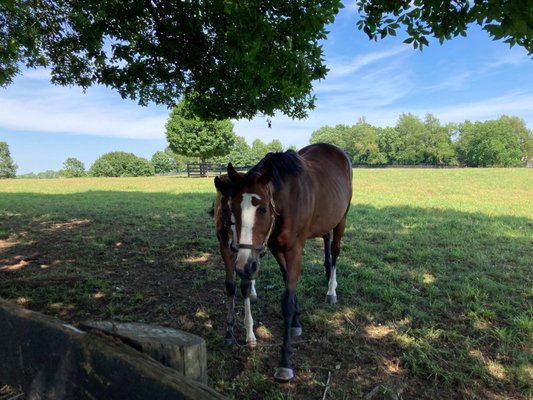 MILL RIDGE FARM - Updated April 2024 - 61 Photos & 13 Reviews - 2800 ...