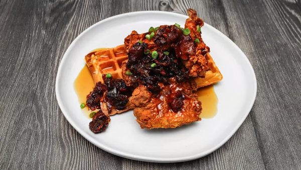 THE GOOD BIRD - Updated December 2025 - 24 Photos & 25 Reviews - 145 S ...