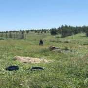 HOMESTEAD FARM - Updated June 2026 - 454 Photos & 193 Reviews - 15604 ...