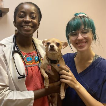 ALLANDALE VETERINARY CLINIC - 47 Photos & 152 Reviews - 6800 Burnet Rd ...