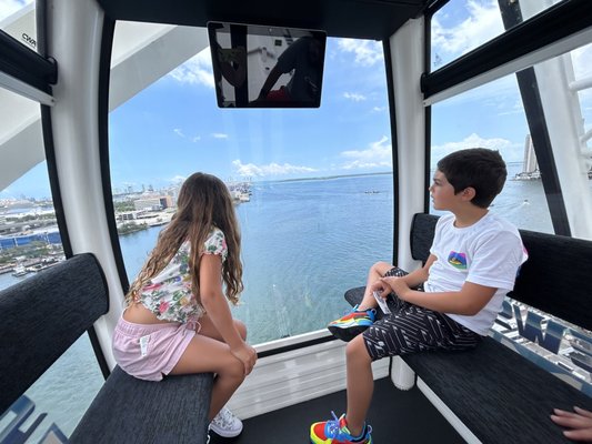 SKYVIEWS MIAMI OBSERVATION WHEEL - Updated April 2026 - 232 Photos & 61 ...