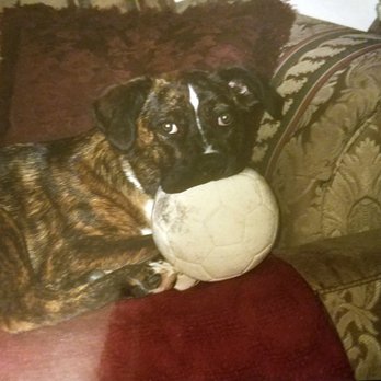 BROOKINGS HARBOR VETERINARY HOSPITAL - Updated October 2025 - 13 Photos ...