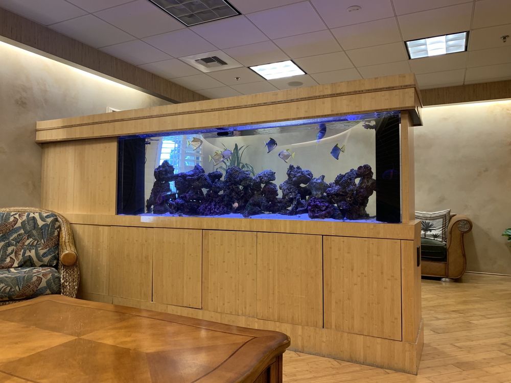 TEMECULA VALLEY ADVANCED IMAGING - Updated January 2026 - 40 Photos ...