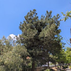 CRESTWOOD BEHAVIORAL HEALTH - Updated August 2025 - 624 E Elder St ...