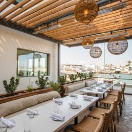 SHOREBIRD - Updated December 2025 - 2068 Photos & 985 Reviews - 2220 ...