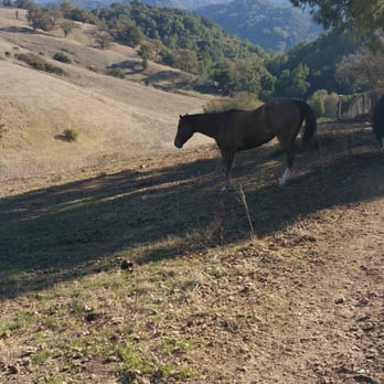 WESTWIND COMMUNITY BARN - Updated May 2024 - 43 Photos & 10 Reviews ...