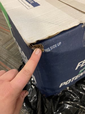 FETCH PACKAGE - Updated December 2025 - 79 Photos & 613 Reviews - 816 ...