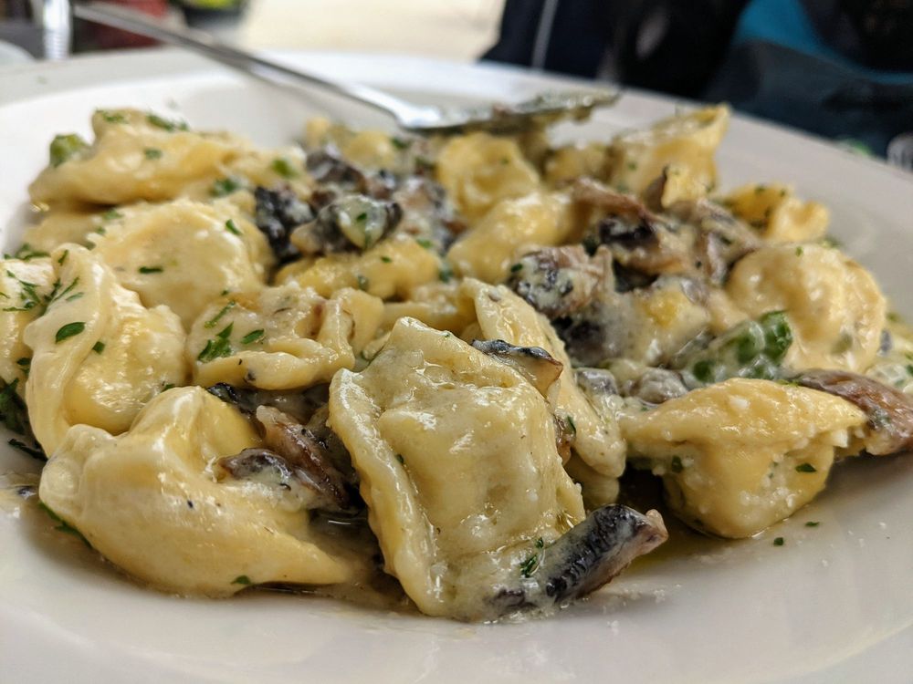 POMODORO E MOZZARELLA - Updated March 2025 - 143 Photos & 327 Reviews ...