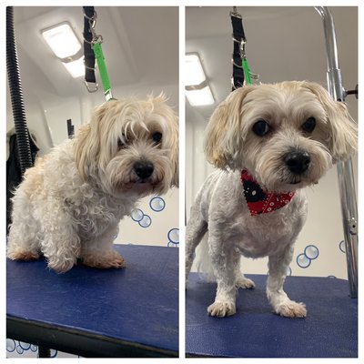 HYDRODOG BERT - Updated November 2024 - 34 Photos & 15 Reviews ...