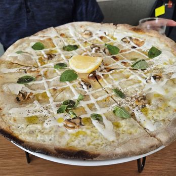 OSTERIA ELIO VOLPE - Updated March 2025 - 169 Photos & 33 Reviews - 540 ...