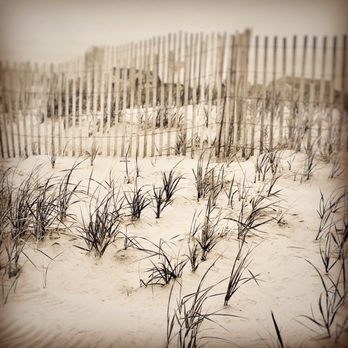 STRATHMERE BEACH - Updated December 2025 - 62 Photos & 19 Reviews ...