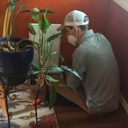 BULWARK EXTERMINATING - 17 Photos & 11 Reviews - 9750 E 55th Pl, Tulsa ...