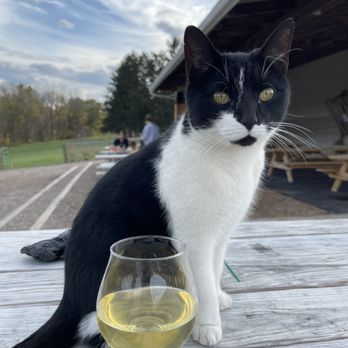 HENMICK FARM AND BREWERY - Updated May 2025 - 111 Photos & 53 Reviews ...