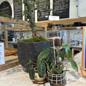 MIRO TEA - Updated December 2025 - 796 Photos & 613 Reviews - 5405 ...