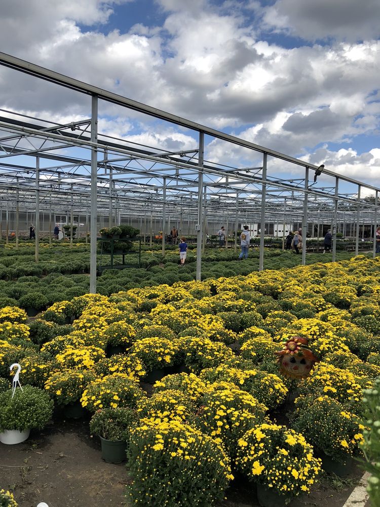 GASKO’S FAMILY FARMS - 84 Photos & 160 Reviews - 112 Federal Rd, Monroe ...