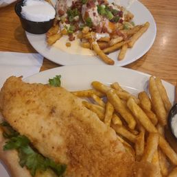 TOUCANS ALE HOUSE - Updated December 2025 - 126 Photos & 277 Reviews ...