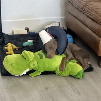 MICHAEL BUTCHKO, DVM - Updated August 2025 - 214 Photos & 539 Reviews ...