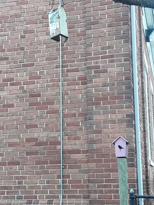 HEMPSTEAD PUBLIC LIBRARY - Updated January 2026 - 39 Photos - 115 ...