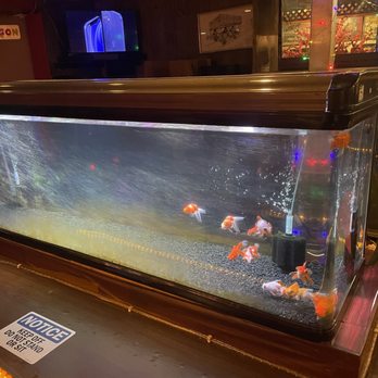 ORIENT EXPRESS - Updated July 2025 - 180 Photos & 334 Reviews - 2963 ...