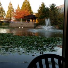 DESHA’S AMERICAN TAVERN - Updated October 2024 - 167 Photos & 237 ...