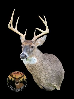HAGER’S WHITETAIL WORKSHOP - Updated May 2026 - 609 Ives Rd, Mason ...