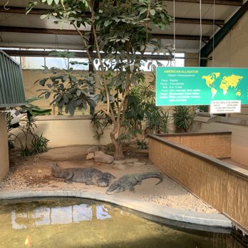 CLYDE PEELING’S REPTILAND - Updated July 2025 - 193 Photos & 51 Reviews ...