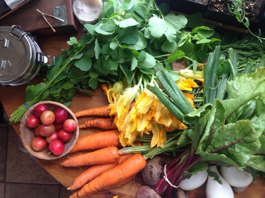 BUSHWICK FARMERS’ MARKET - Updated December 2025 - cor. Broadway ...