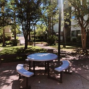 MICHELLE LISKE MD - Updated June 2024 - 4340 Genesee Ave, San Diego ...