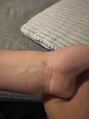 CHILD DEVELOPMENT CENTER AT FAIRPLEX - Updated December 2025 - 12 ...