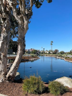 THE HUNTINGTON CLUB - 21 Reviews - 6501 Palm Ave, Huntington Beach, CA ...