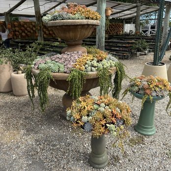 ISAAC FARMS - Updated January 2026 - 456 Photos & 113 Reviews - 18800 ...