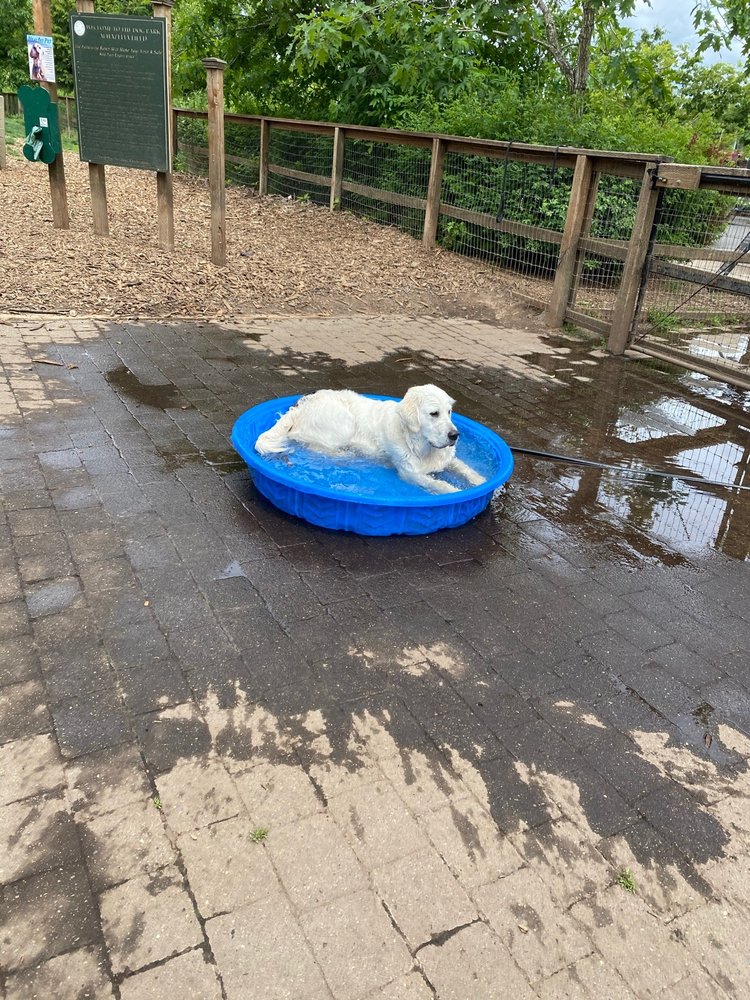 HAZELIA FIELD DOG PARK - Updated May 2025 - 86 Photos & 64 Reviews ...