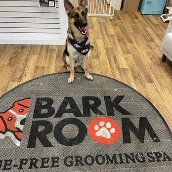 BARK ROOM - Updated March 2025 - 145 Photos & 122 Reviews - 65 S ...