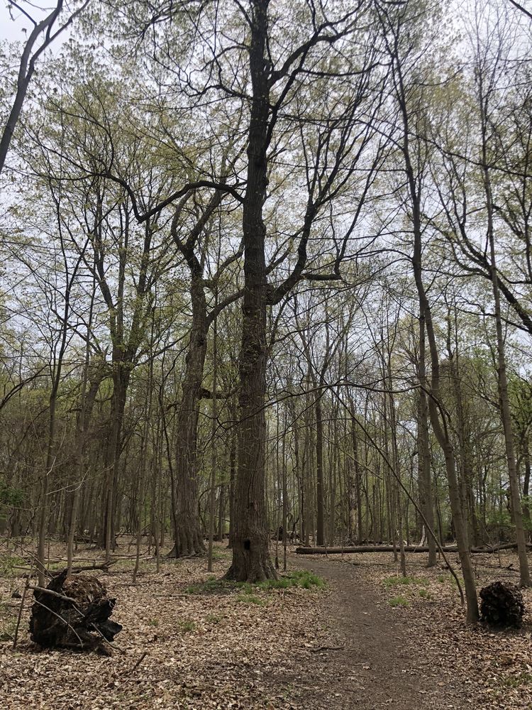 ELIZA HOWELL PARK - Updated April 2025 - 23751 Fenkell Ave, Detroit ...