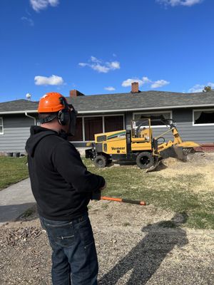 ELITE TREE SERVICE - Updated June 2025 - 16 Photos - 115 NW Boardman ...