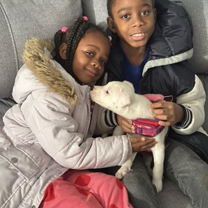 BATTLEGROUND EYE CARE - Updated December 2025 - 10 Reviews - 3132 ...