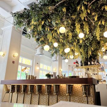 MOTEK CORAL GABLES - Updated August 2024 - 808 Photos & 299 Reviews ...