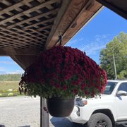 RHODES FARMER’S MARKET - 27 Photos & 11 Reviews - 12216 Columbiana ...