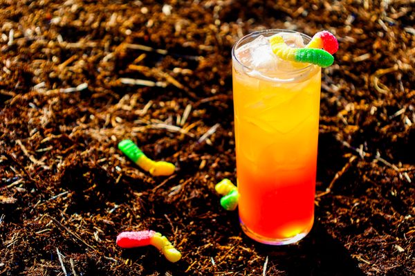 JUNCTION 35 SPIRITS - TANGER - Updated December 2025 - 84 Photos & 84 ...