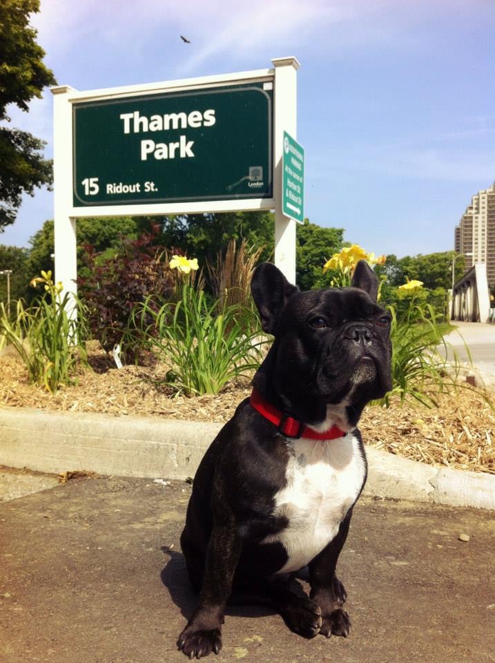 THAMES PARK - Updated December 2025 - 15 Ridout Street S, London ...