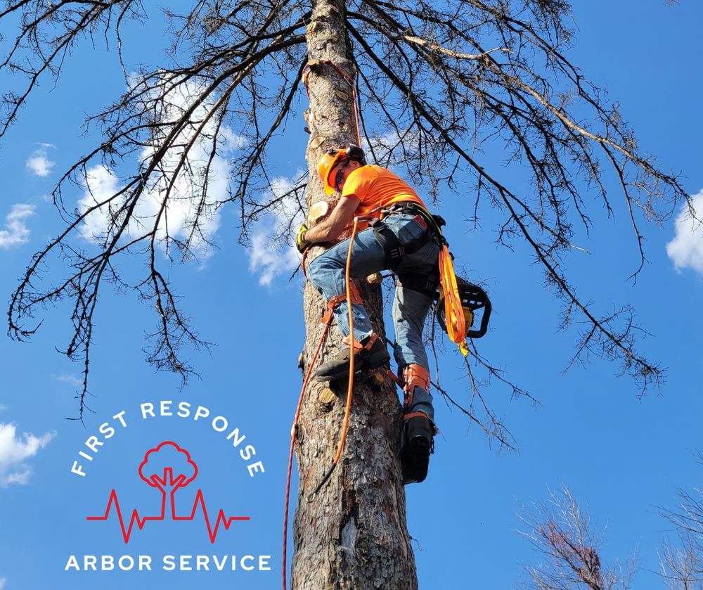 FIRST RESPONSE ARBOR SERVICE - Updated April 2026 - 2296 320th St, Fort ...