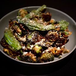 ROCA - Updated October 2025 - 303 Photos & 264 Reviews - 208 Court Ave ...