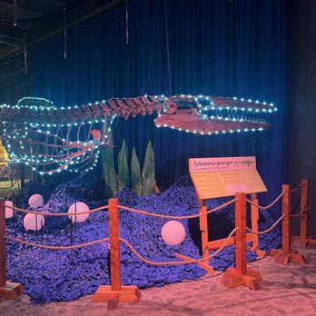 ORLANDO SCIENCE CENTER - Updated June 2024 - 1068 Photos & 354 Reviews ...